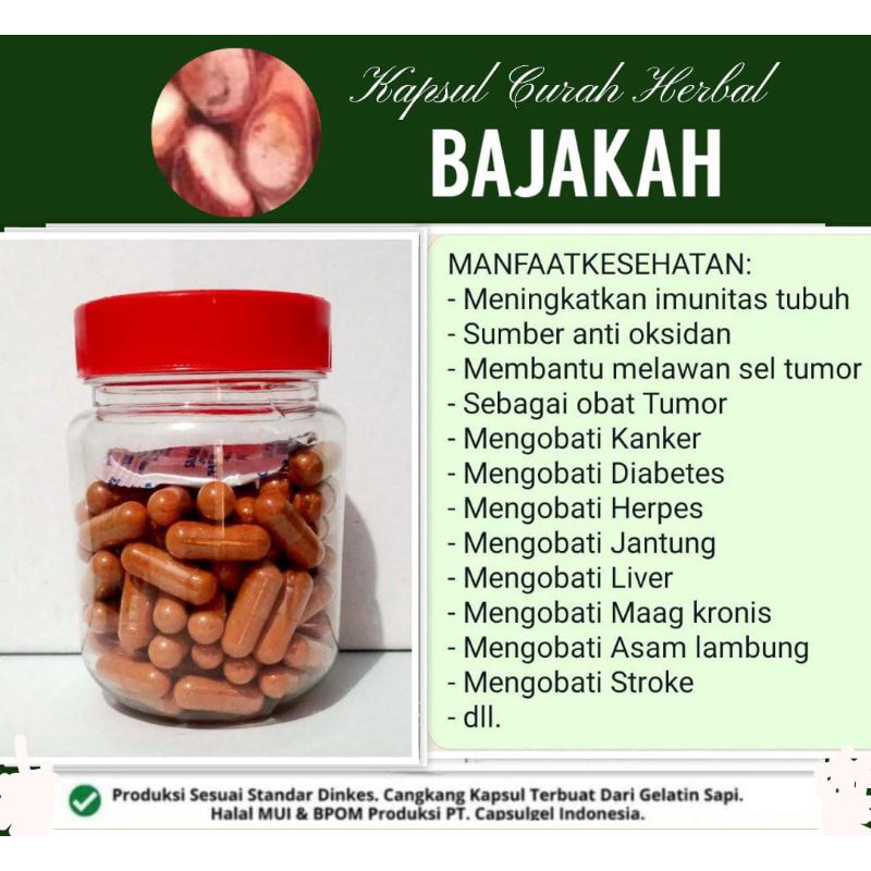 Jual AKAR BAJAKAH TAMPALA 100 kapsul Herbal diabetes Kanker Kemasan ...