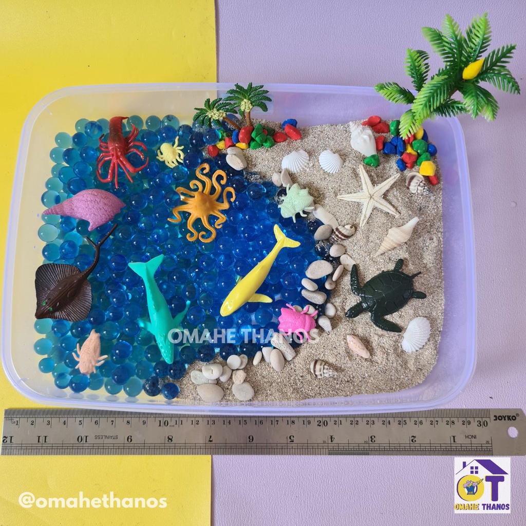 Jual SENSORY BIN BEACH AND SEA LARGE / SENSORY PLAY PAKET BOX MAINAN ...