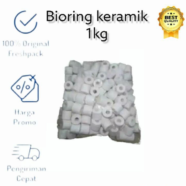 Jual Bio Ring Ceramic Ring Media Filter Rumah Bakteri 1 Kg Bioring ...