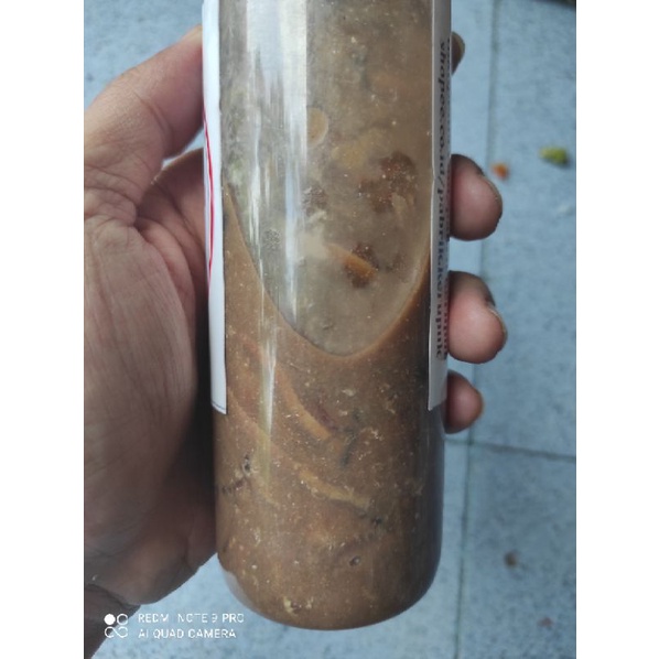 Jual Rusip Ikan Teri Premium | Shopee Indonesia