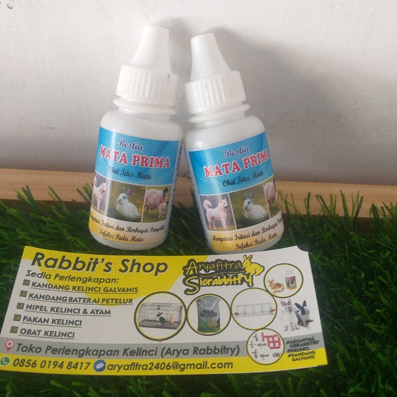 Jual Obat tetes mata hewan (kucing, sapi, kambing, kelinci) | Shopee ...