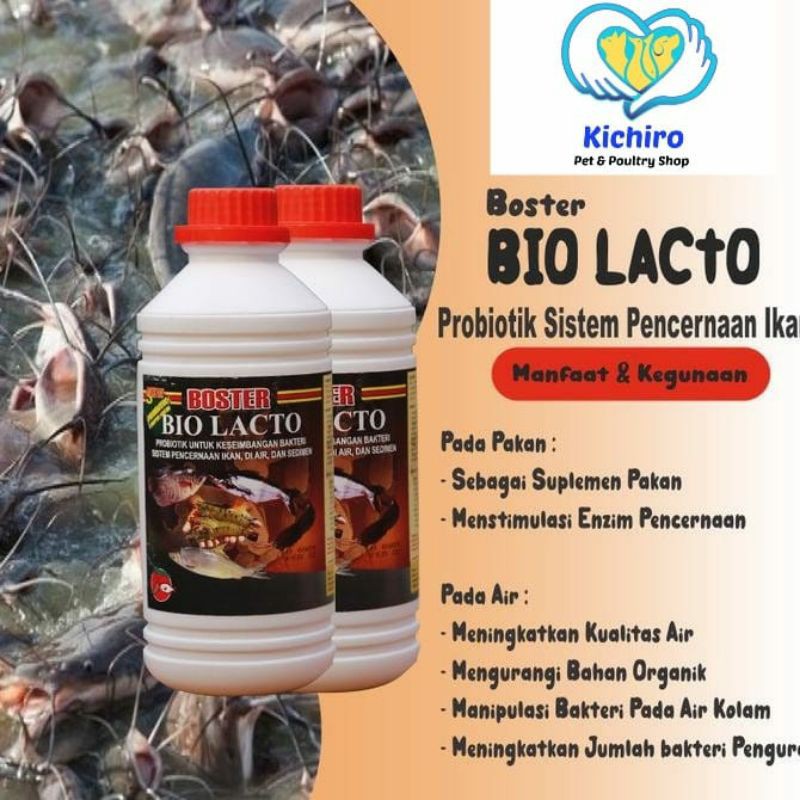 Jual Bio Lacto 1 Liter Boster Biolacto Prebiotik Sistem Pencernaan Ikan ...