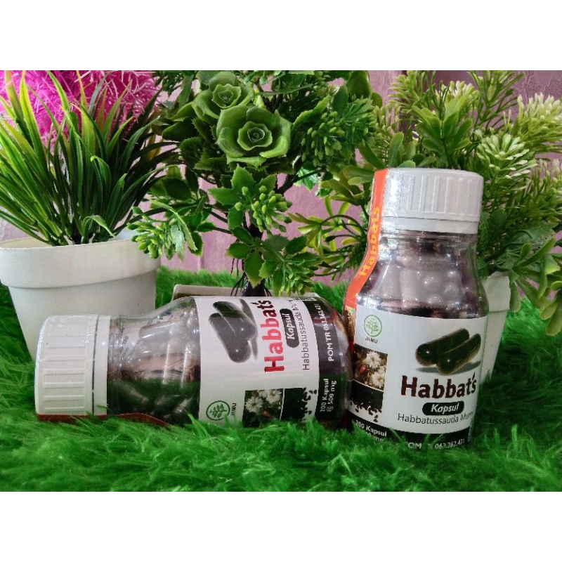 Jual Habbats Habbatussauda Murni 200 Kapsul | Shopee Indonesia