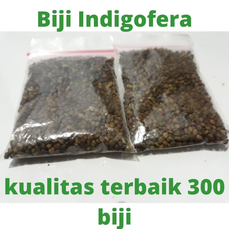 Jual [TERMURAH] Biji Benih Indigofera 300 biji Kualitas Super | Shopee ...