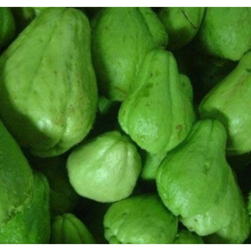 Jual Labu Siam harga per 1kg | Shopee Indonesia