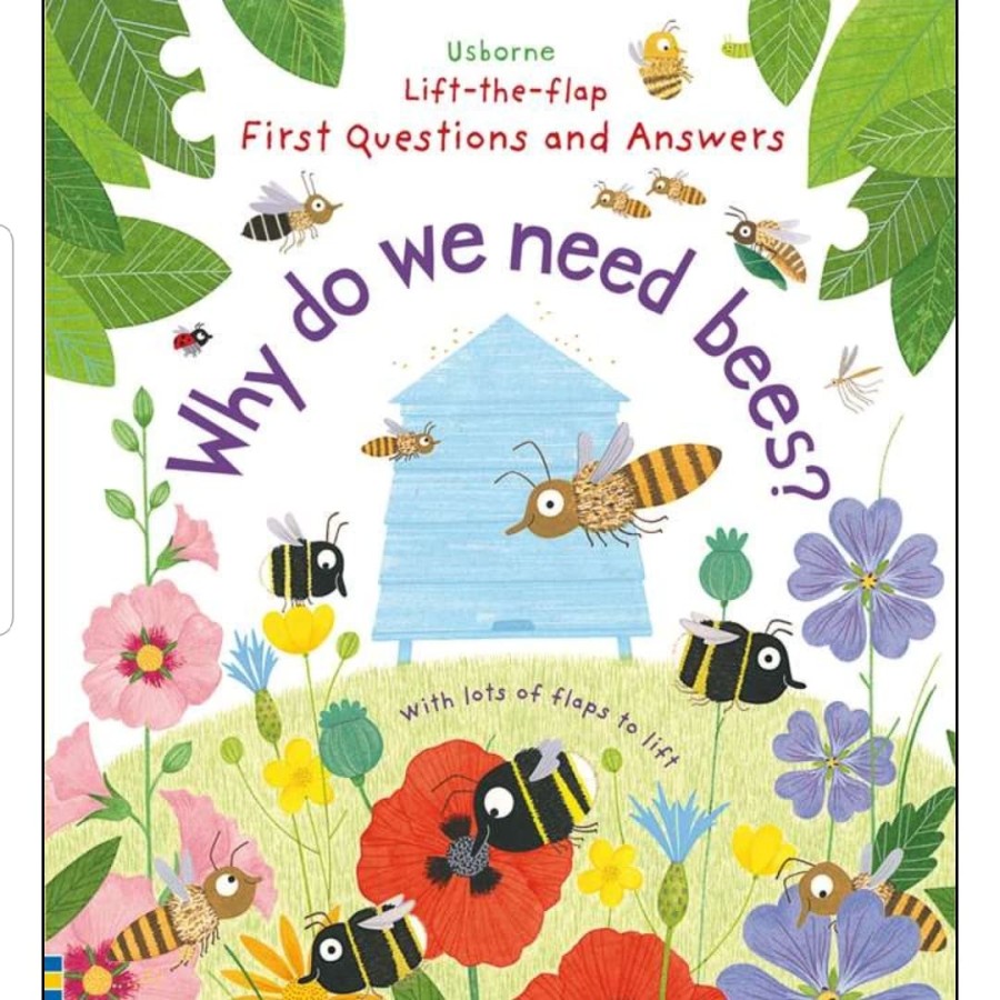 Jual USBORNE lift the flap questions WHY DO WE NEED BEES buku anak ...