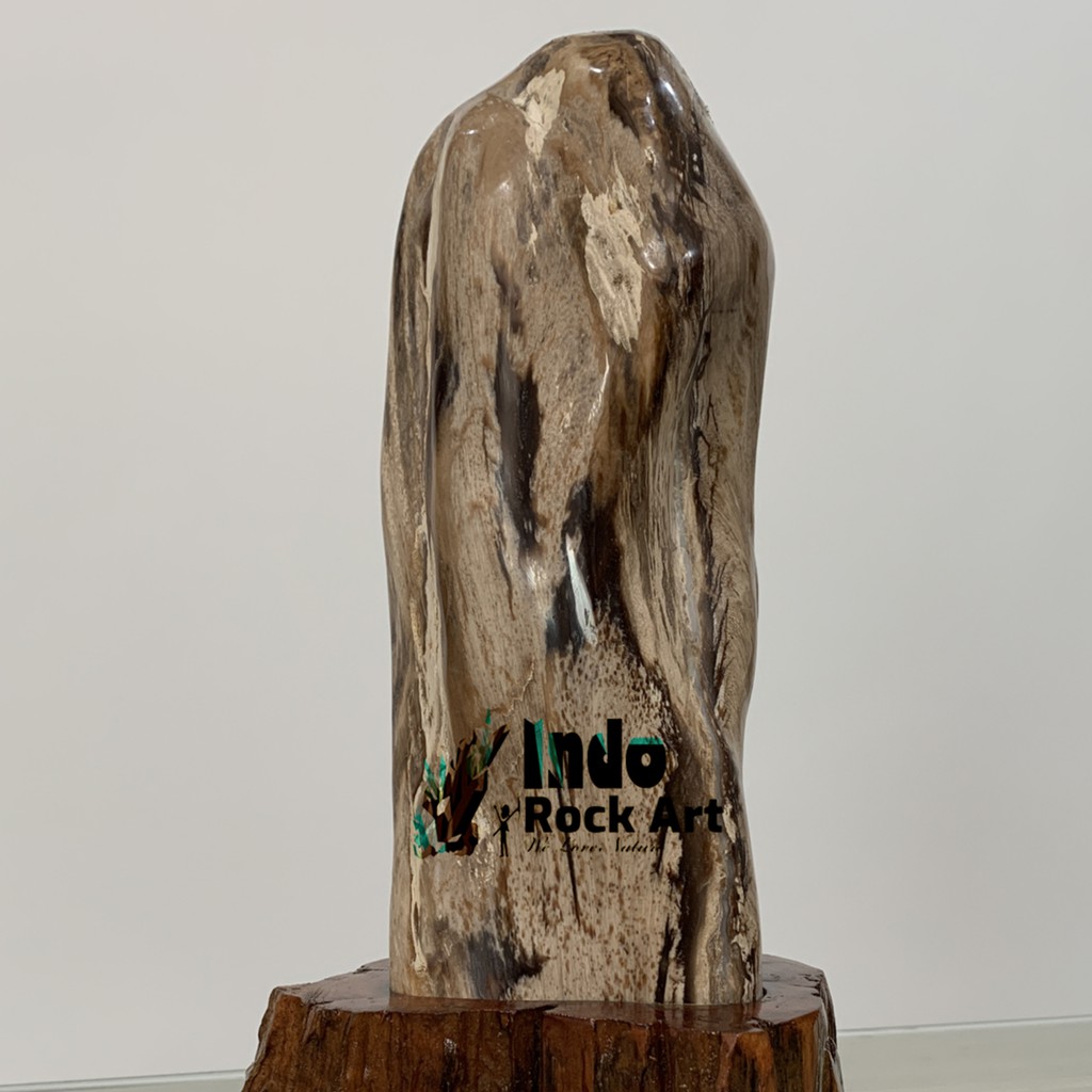Jual Batu FOSSIL PETRIFIED WOOD 1959-3 | Shopee Indonesia