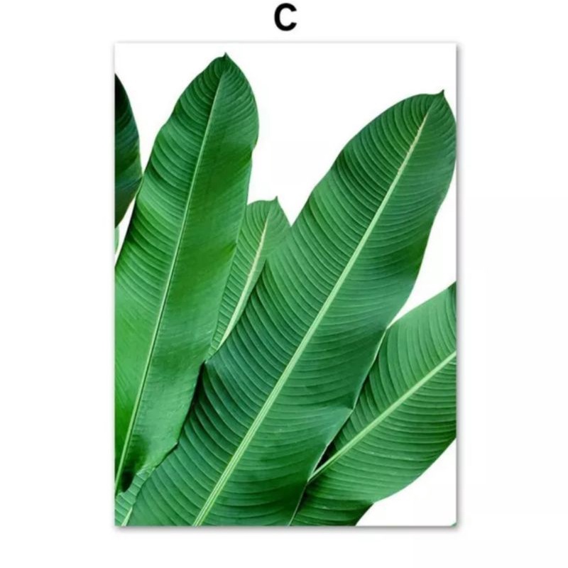 Jual Hiasan Dinding Tanaman Tropis Monstera Daun Pisang Poster Nordic ...