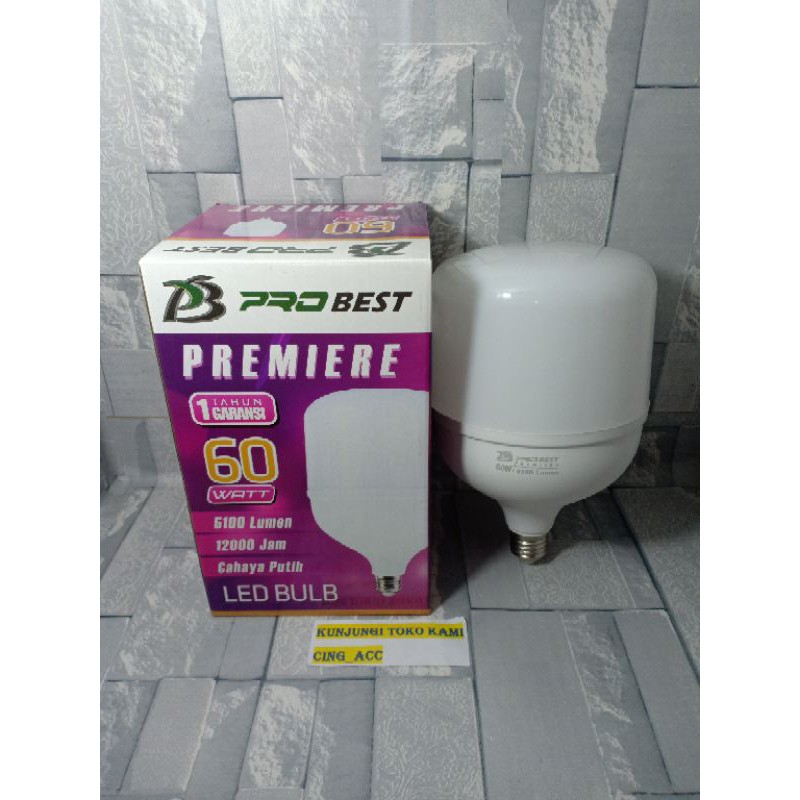 Jual Lampu LED Jumbo 60 Watt Premiere Bohlam Kapsul Ukuran Besar ...