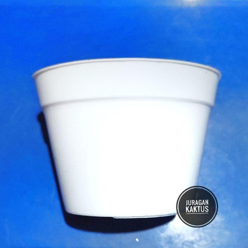 Jual Pot Plastik Putih 10cm | Shopee Indonesia