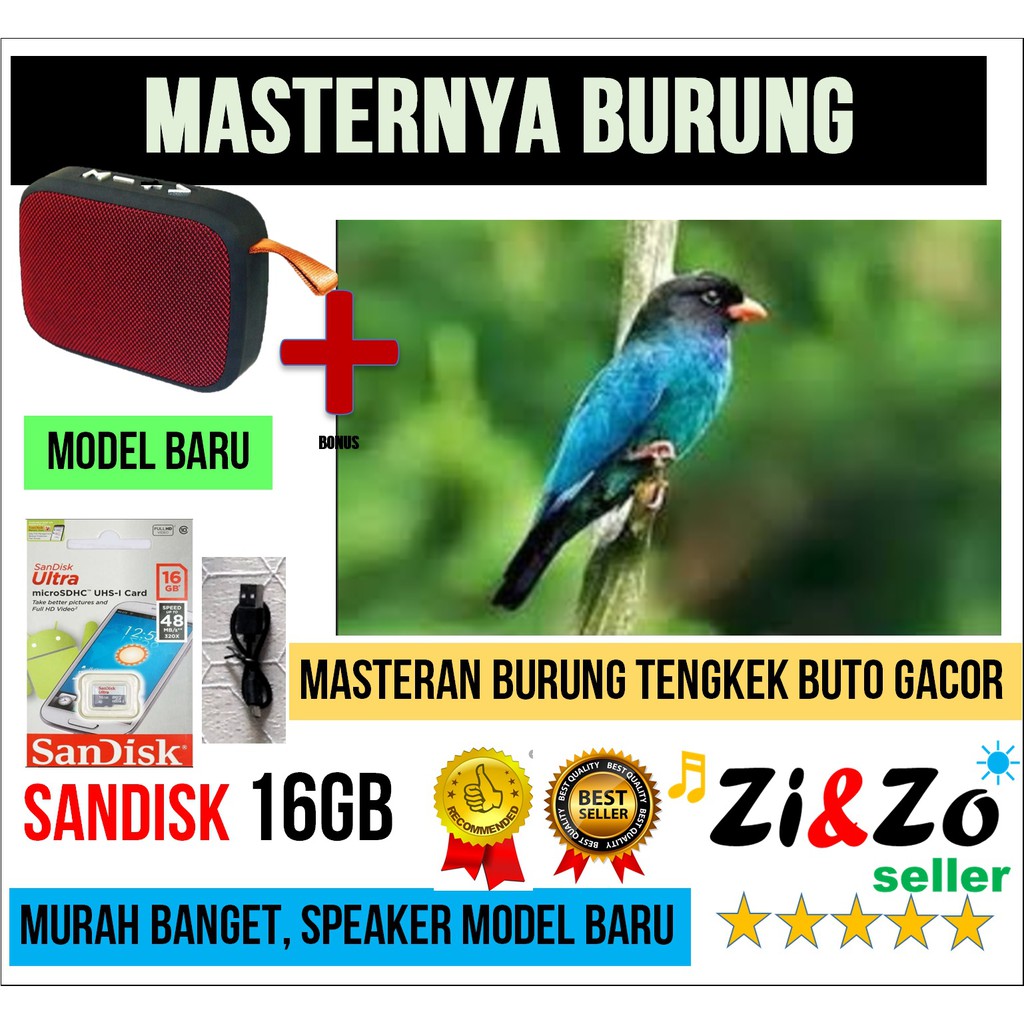 Jual Masteran Burung Tengkek Buto Termurah | Shopee Indonesia