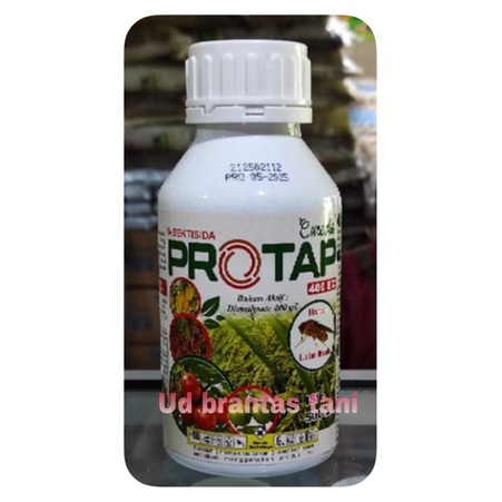 Jual insektisida PROTAP 400EC kemasan 250ml | Shopee Indonesia