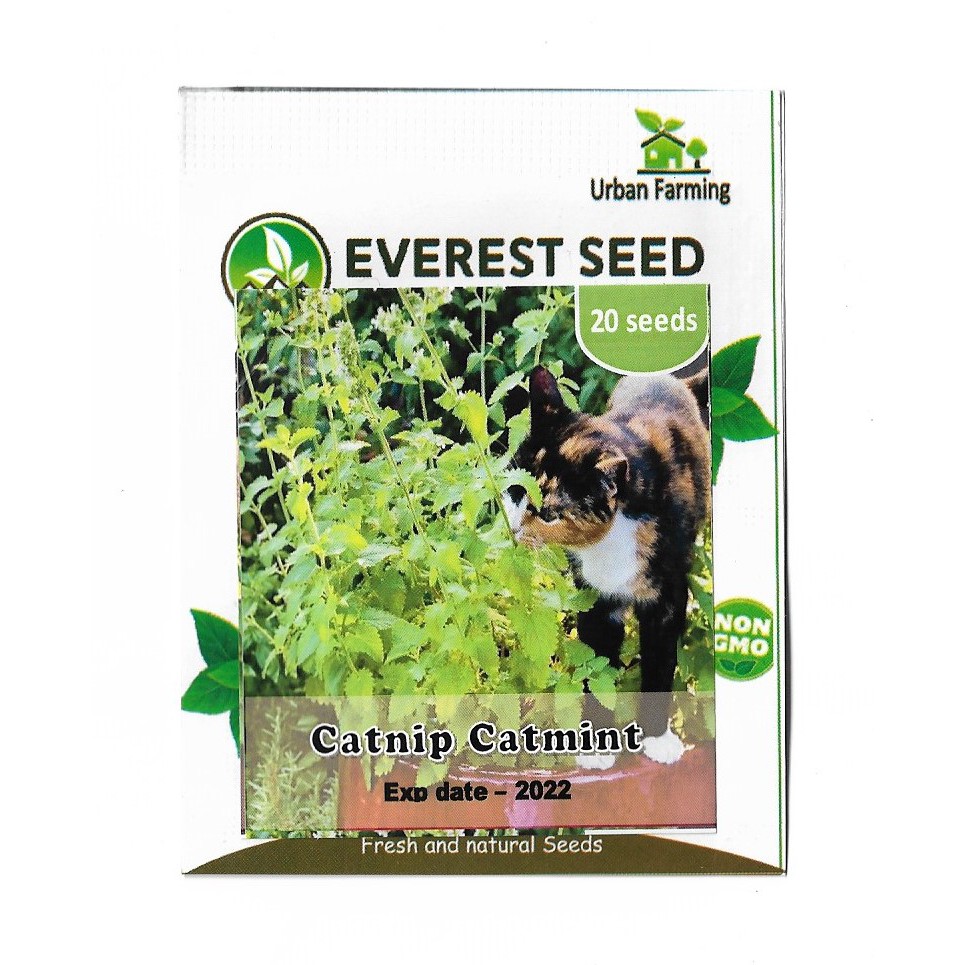 Jual isi 20 Benih Biji Bibit Tanaman Catmint catnip Merk Everest Seed ...