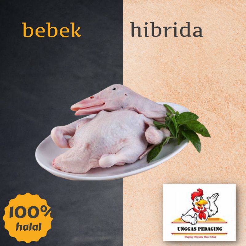 Jual daging bebek ukuran 1 kg | Shopee Indonesia