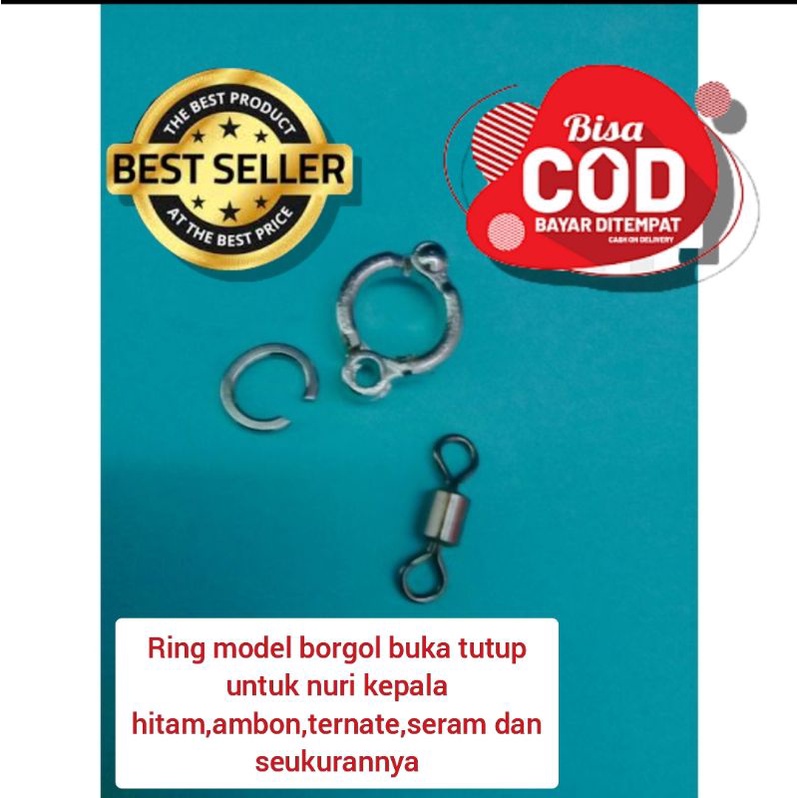 Jual RANTAI BURUNG NURI KEPALA HITAM NURI TERNATE NURI AMBON NURISERAM ...