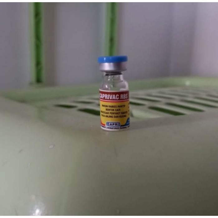 Jual Vaksin Rabies Inaktif Caprivac Rbs Untuk Anjing Kucing | Shopee ...