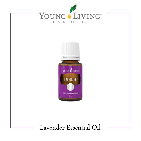 Jual Young Living Lavender Oil Lavender Essential Oils Shopee Indonesia