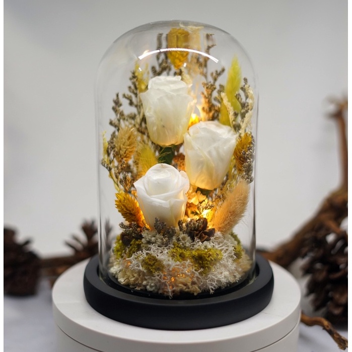 Jual Flower Glass Dome Dorana Florist Bunga Mawar / Rose Built in LED ...