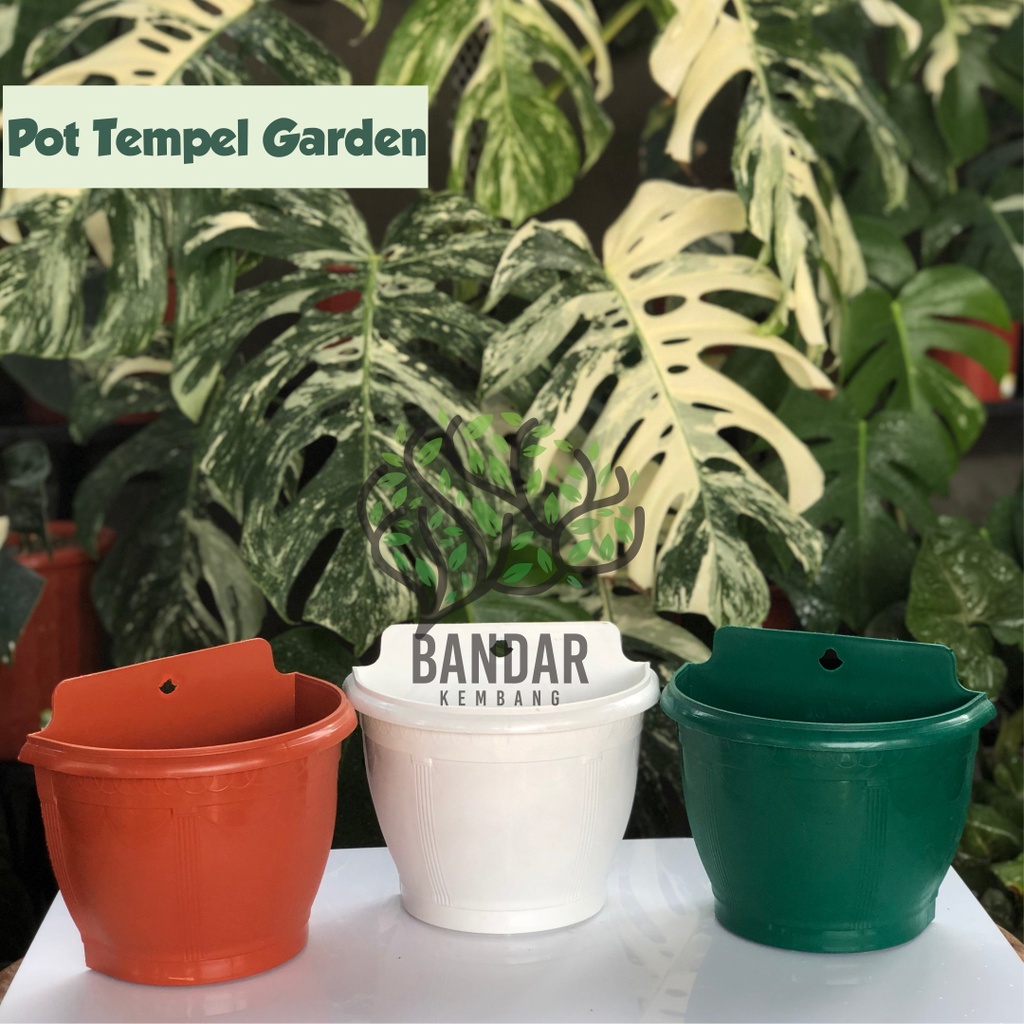 Jual Pot Dinding Tempel Garden Warna Putih Merah Bata Hijau - Bukan Pot ...