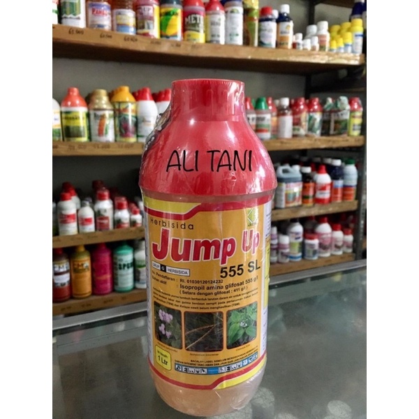 Jual JUMP UP 555 SL Kemasan 1 Liter Herbisida Sistemik/Racun Rumput ...