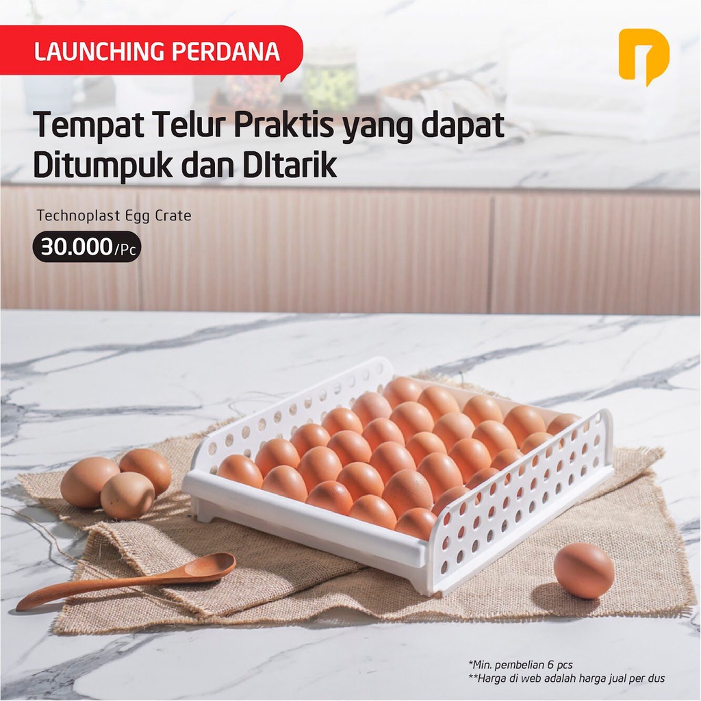 Jual Tempat Box Telur 30 Sekat Kotak Organizer Telor Technoplast Egg ...
