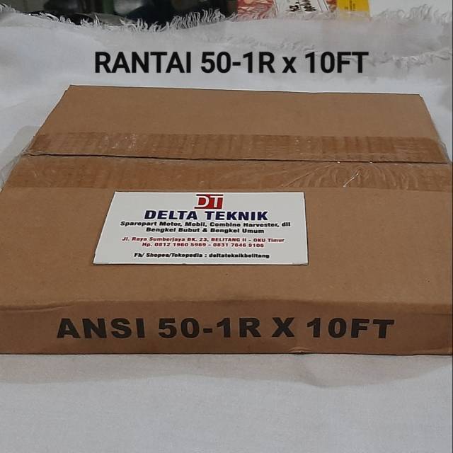 Jual RANTAI 50-1R x 10 FT (3m) | Shopee Indonesia