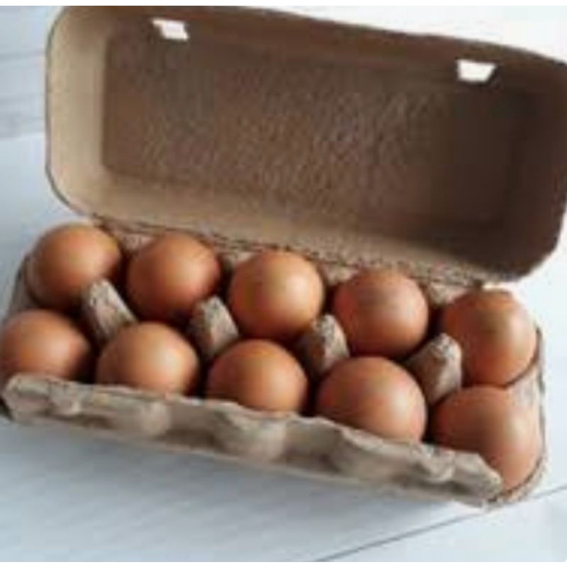 Jual telur ayam omega 1 pack ( isi 10) | Shopee Indonesia