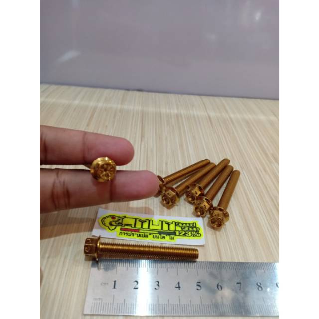 Jual Baut probolt gold flower 6x50 drat 10 panjang 5cm | Shopee Indonesia