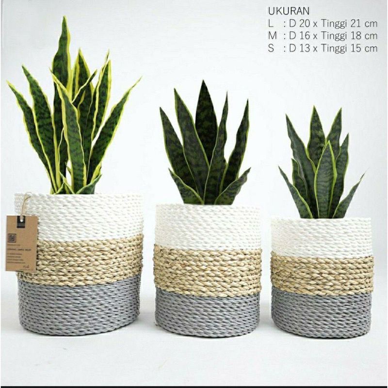 Jual Pot Plater Tanaman Hias/Abu nat pth set isi 3 | Shopee Indonesia