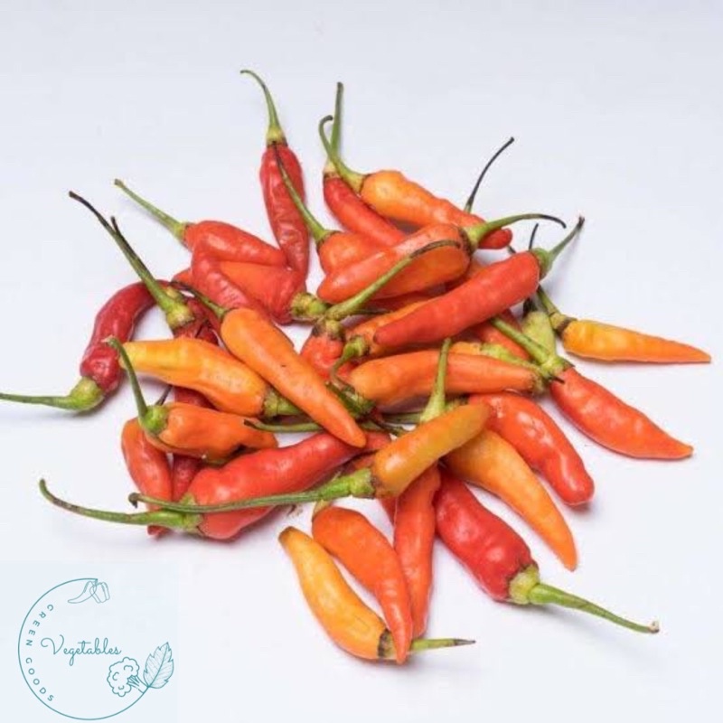 Jual CABE RAWIT DOMBA MERAH/CENGEK DOMBA | Shopee Indonesia