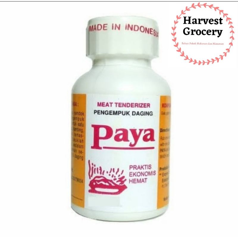 Jual Paya Meat Tenderizer / Pengempuk Daging 70gr | Shopee Indonesia