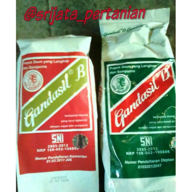 Jual GANDASIL D / B (100 gr) | Shopee Indonesia