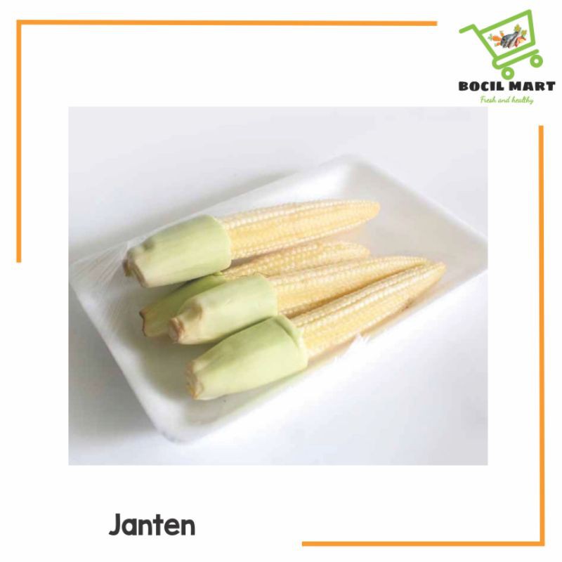Jual [BOCIL MART] JANTEN / JAGUNG MUDA 250GR | Shopee Indonesia