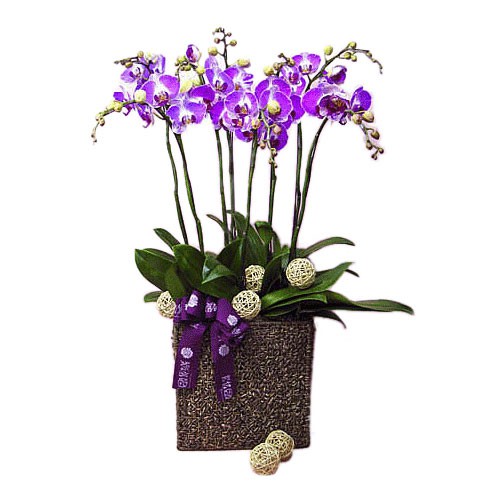 Jual Karangan Bunga Meja Bunga Anggrek Bunga Vas Table Flower BAG26 ...