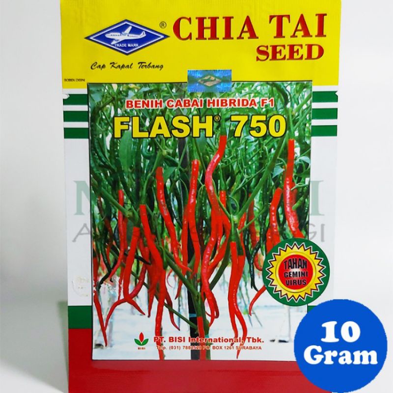 Jual Bibit Benih Cabai Cabe Keriting Hibrida F1 FLASH 750. Netto 10gr ...