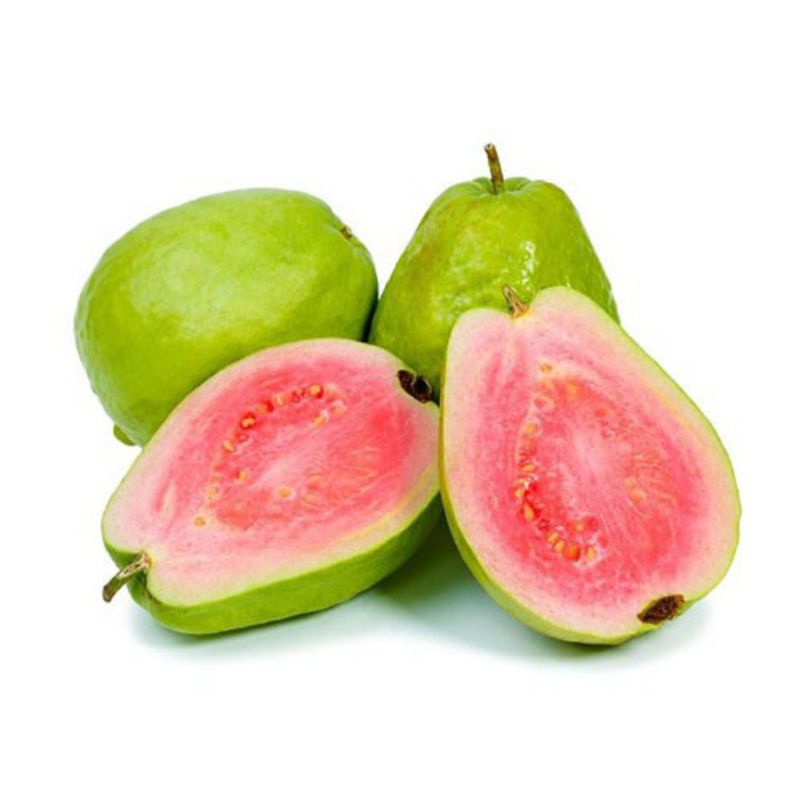 Jual Jambu merah biji segar 1 kg | Shopee Indonesia