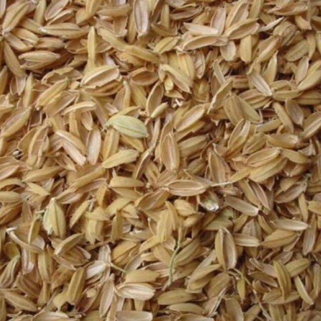 Jual 250 gram Sekam Padi Mentah Media Tanam bunga dan pot | Shopee ...
