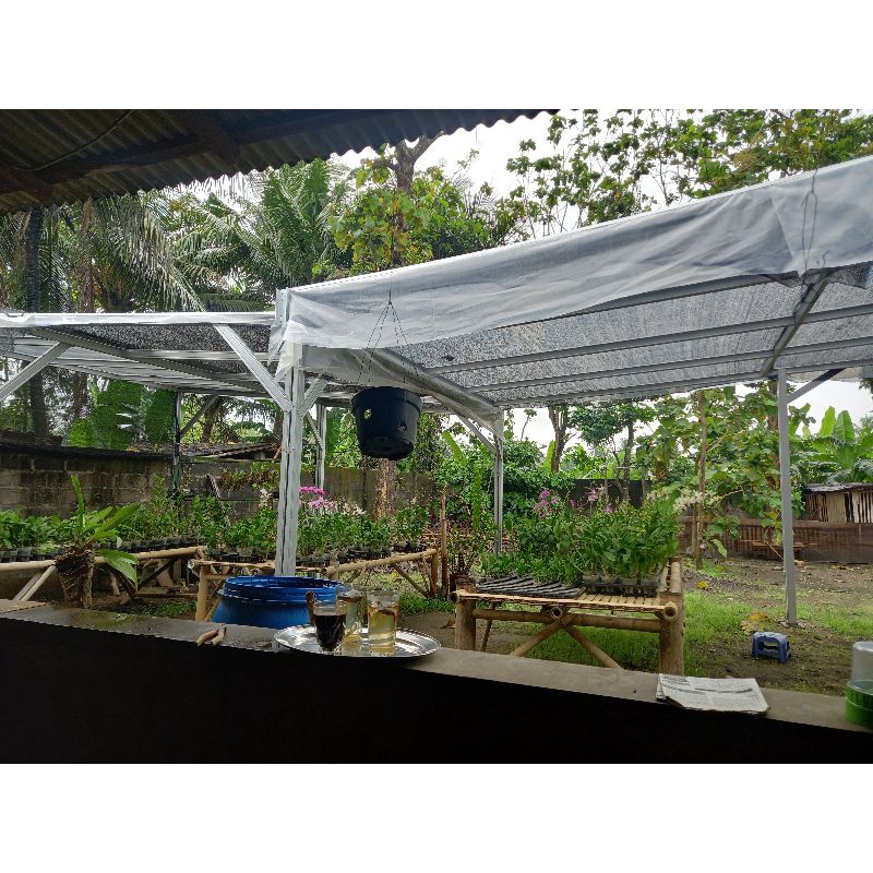 Jual Plastik UV 200 microon / Peneduh tanaman / UV Green House ...