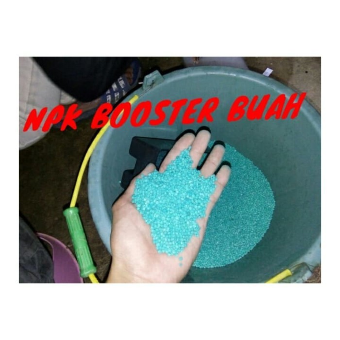 Jual PUPUK NPK BOOSTER BUAH MAGNUM | Shopee Indonesia