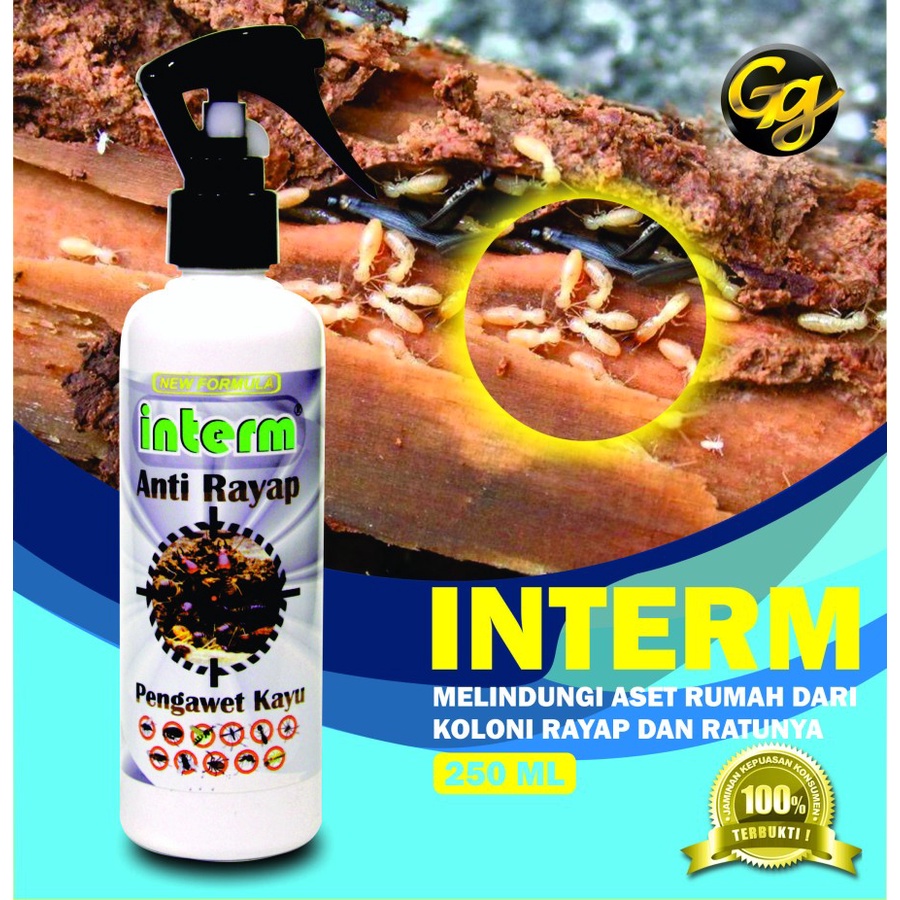 Jual Obat Pembasmi Rayap Pada Kayu Pintu Jendela Kursi Tempat Tidur ...