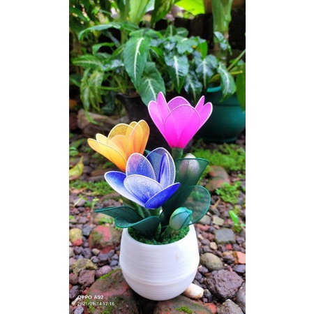 Jual Bunga nilon stocking | Shopee Indonesia