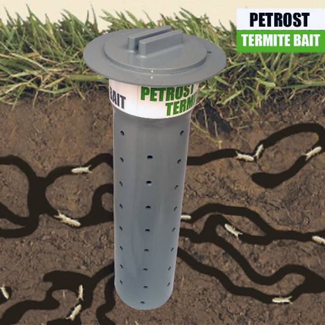 Jual Umpan Rayap Tanah / Racun Rayap Sampai Ratu / Obat Anti Rayap ...