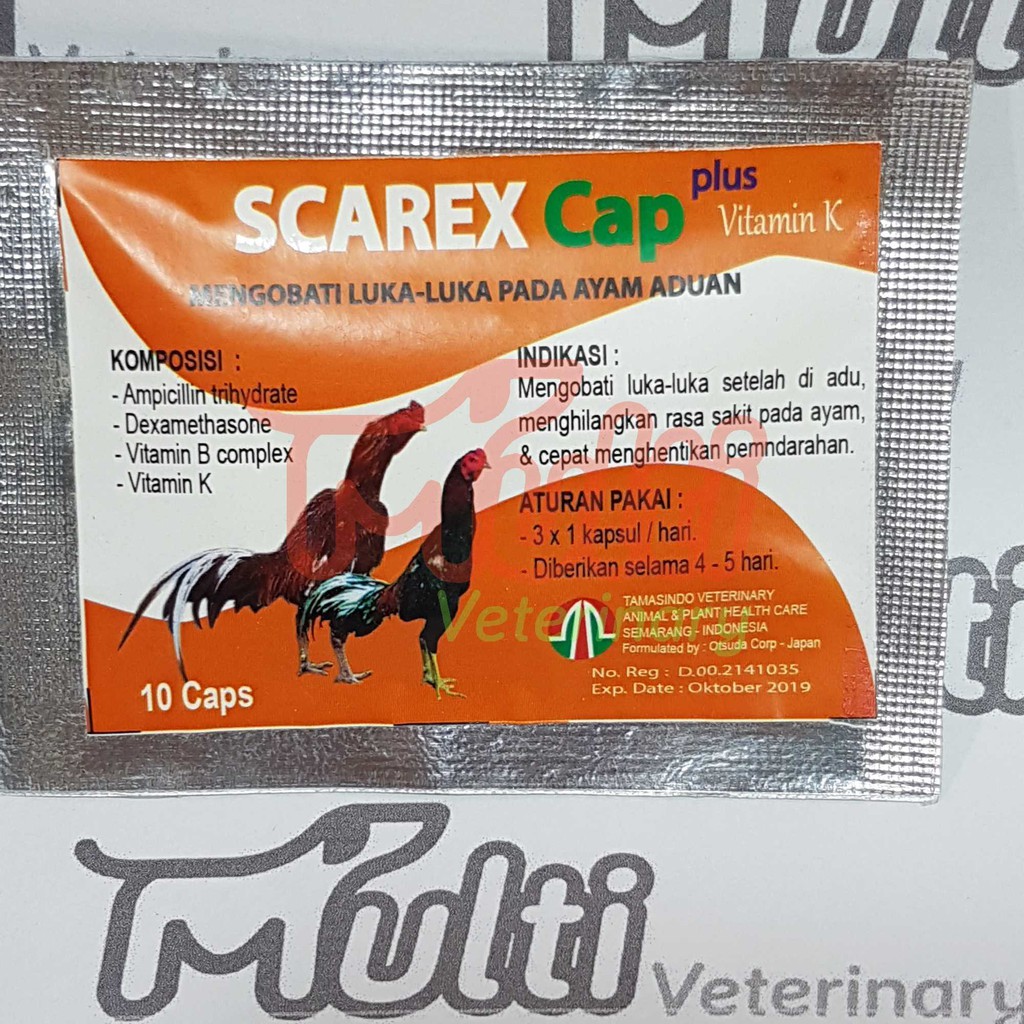 Jual SCAREX Cap plus Vitamin K B complex Mengobati Luka pada Ayam Aduan Adu 10 kapsul | Shopee ...
