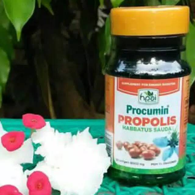 Jual PROCUMIN PROPOLIS HNI HPAI/HALAL MART BEKASI UTARA/STOKIS | Shopee ...