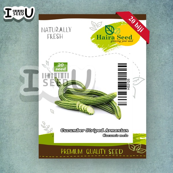 Jual Bibit-Biji Timun Belut Striped Armenian (Haira Seed) | Shopee ...
