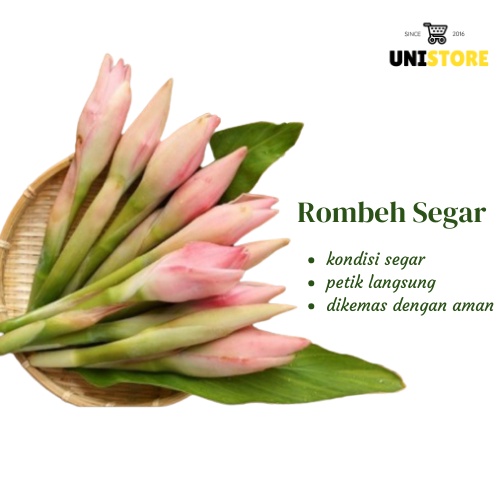 Jual Rombeh segar 250 gram / Comrang / Bunga Honje Segar / Bunga ...