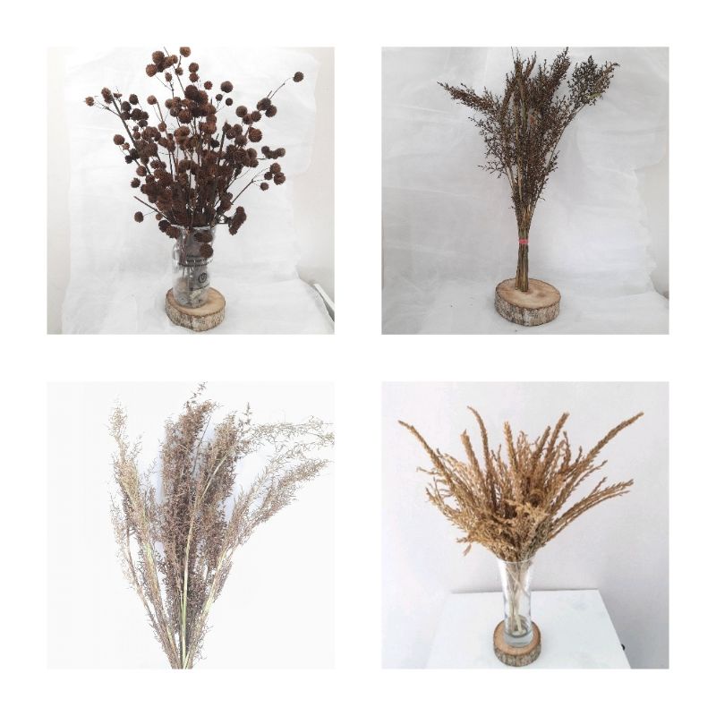 Jual 1 IKAT BUNGA KERING/BUNGA UNTUK BUKET/FLOWER RUSTIC DECORATION ...