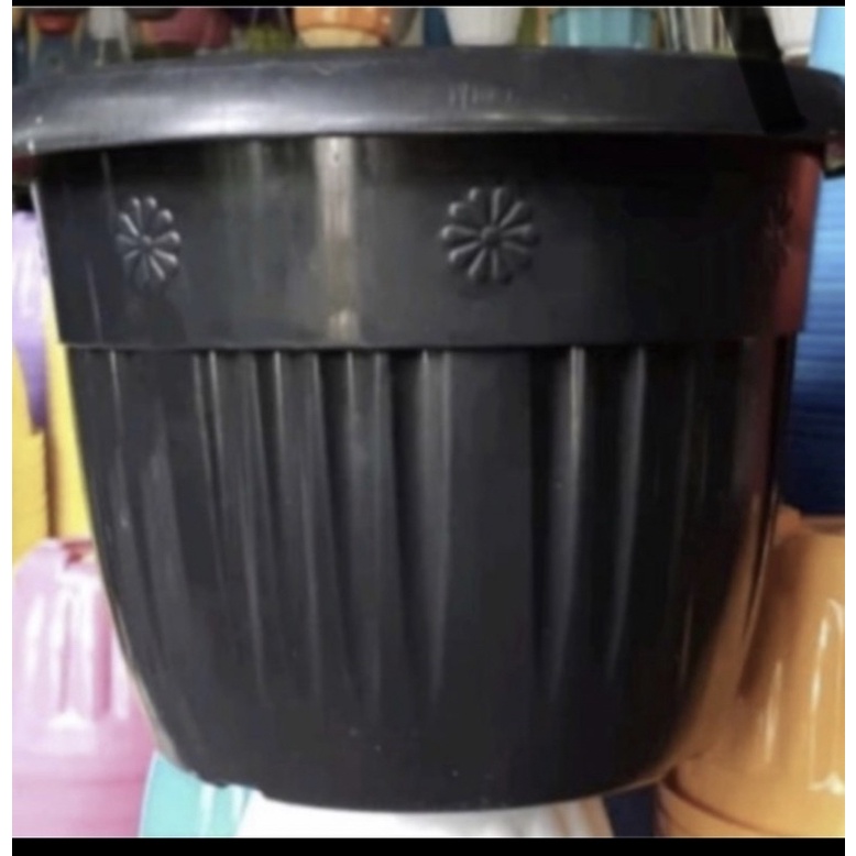 Jual pot hitam kuping ukuran 50 cm | Shopee Indonesia