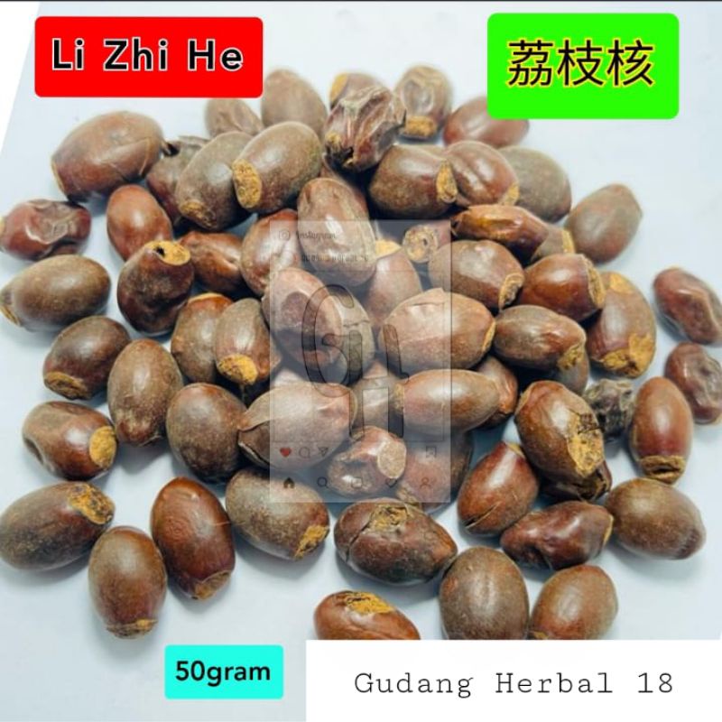Jual 50 G GR GRAM LI ZHI HE - SEMEN LITCHI LYCHEE SEED SEEDS BIJI ...