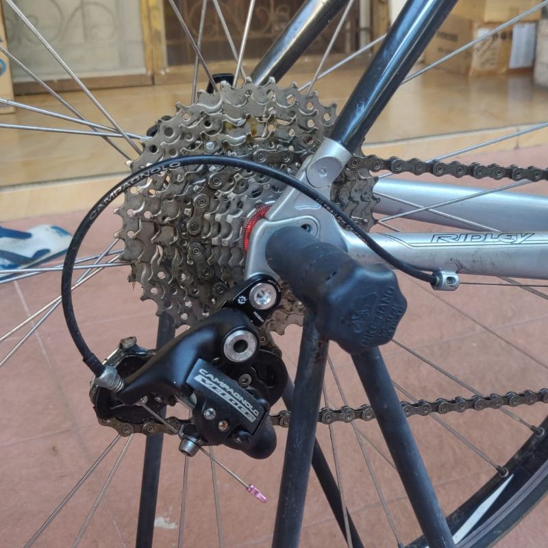 Jual sepeda roadbike ridley second | Shopee Indonesia